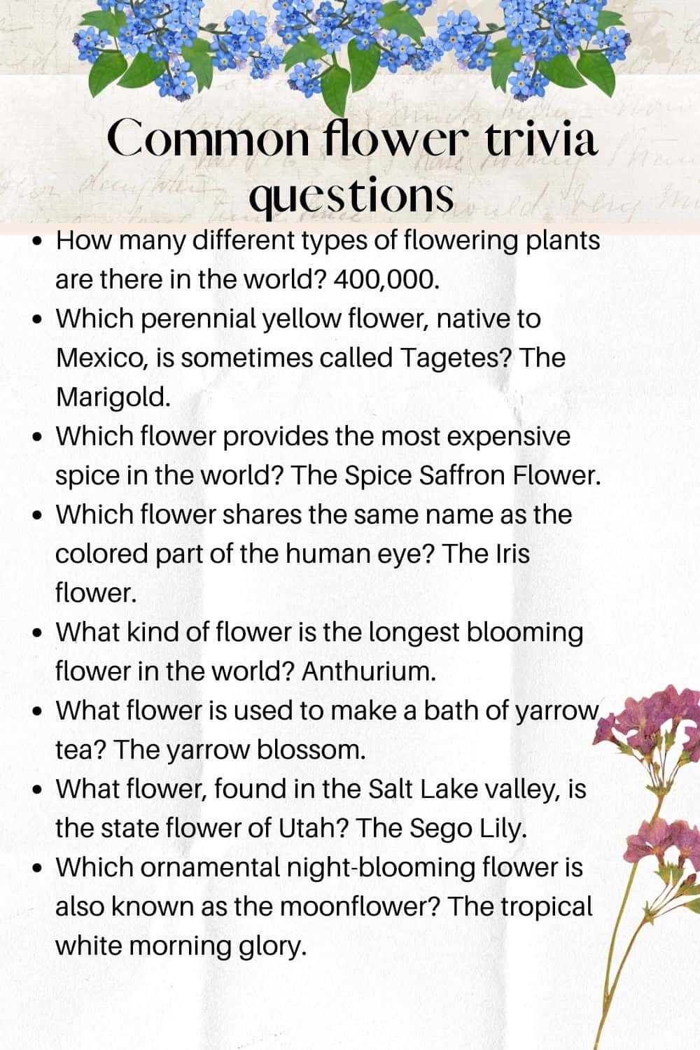 50+ Fun and interesting flower trivia questions - Kids n Clicks